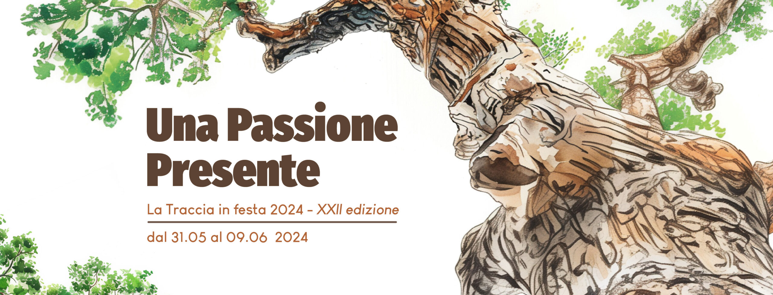 La Traccia in Festa 2024. Una passione presente - La Traccia Una scuola ...